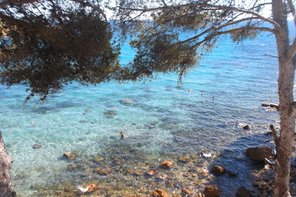 Traveling to South of France? Follow information about beaches and the ...