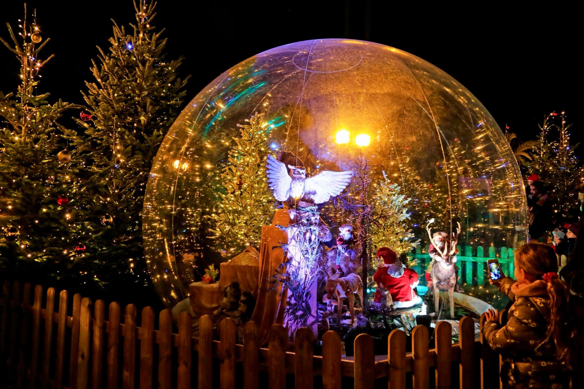 Holidays Lights in South of France - Provence Coast Travel Guide